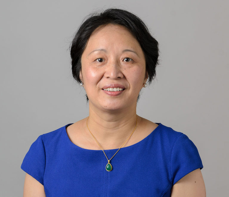 Materials Science and Engineering | Professor Mei Wei named as School ...