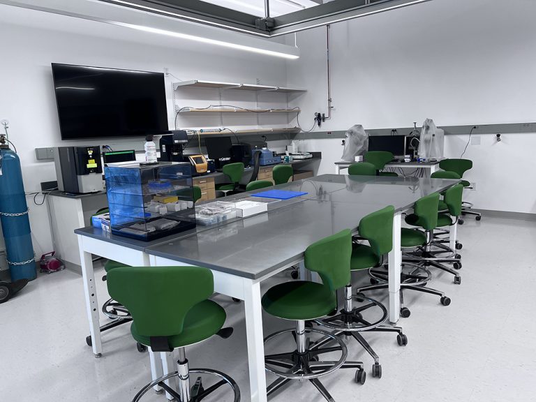 Materials Science and Engineering | Ever Wondered What Goes On in the New MSE Undergrad Labs?